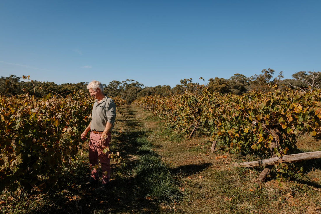 About Us – Red Edge Wine